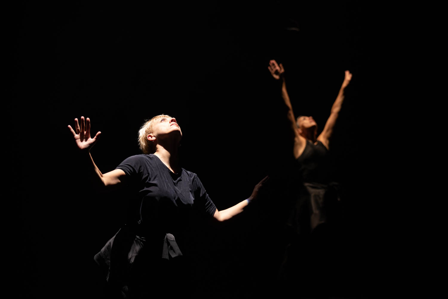 Caroline de Cornière - 2023 - Pavillon ADC